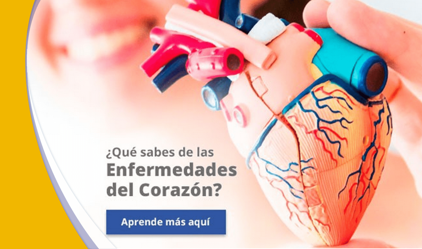 Servicios para tratar las enfermedades del corazón – Policlinica ...