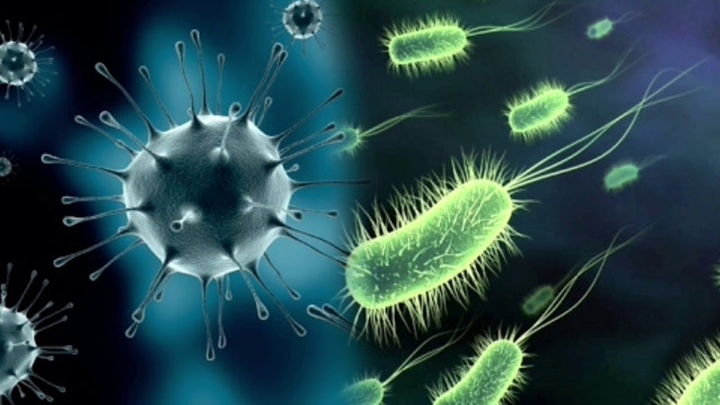 ¿Qué son las infecciones? Conoce síntomas, prevención y tipos ...